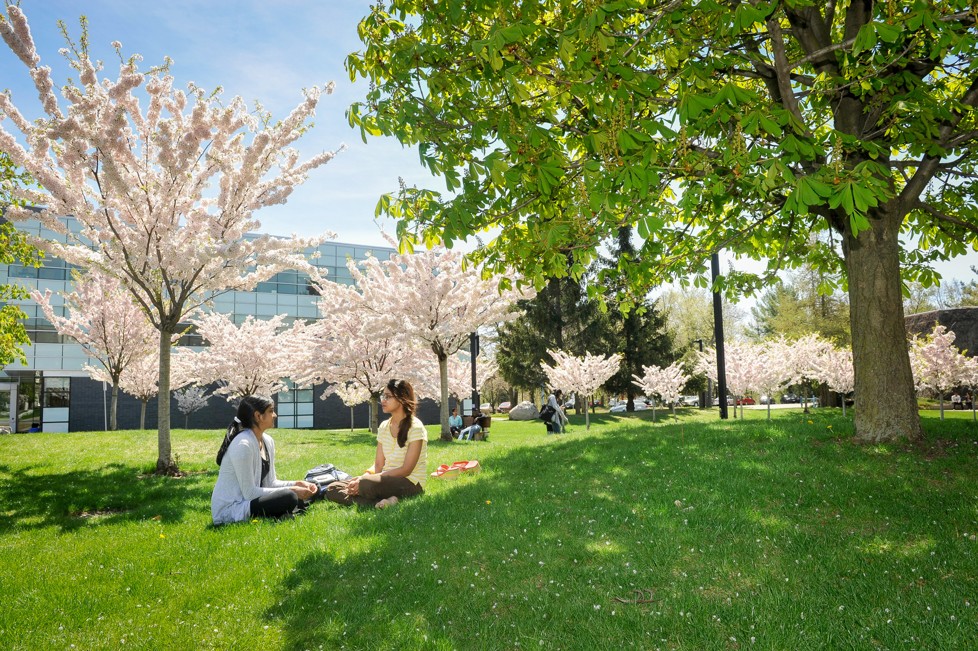 University of Toronto - English Language Program