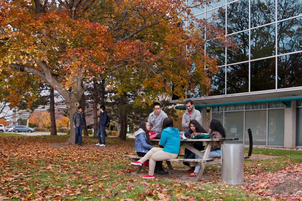 Lambton College - Lambton Institute of English - Toronto